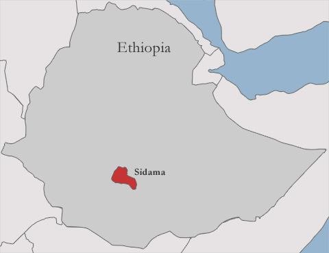 Grounds for Health Where We Work - Grounds for Health