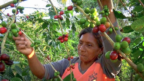 International Day for Rural Women: The Coffee Connection - Grounds for ...