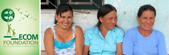 ECOM Foundation Awards Grant to Strengthen Programs - Grounds for Health